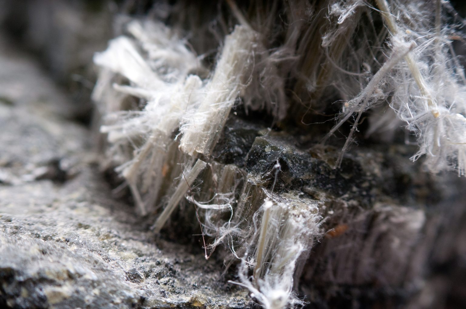 Identifying different types of asbestos